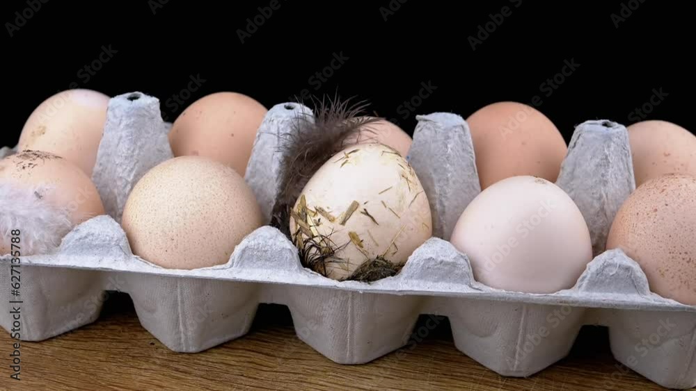 Brown Dirty Chicken Eggs in a Tray on a Rotating Wooden Desk, Black ...