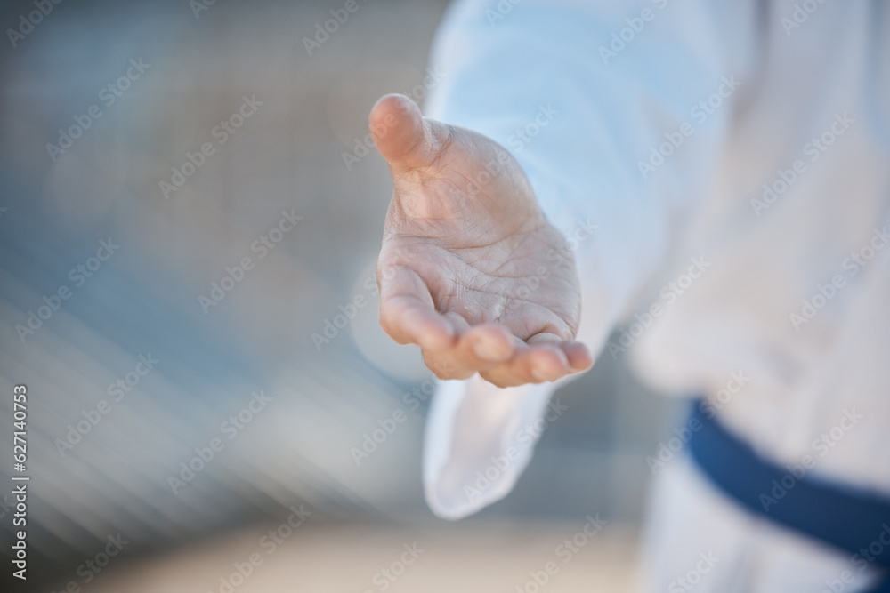Person, handshake and welcome for martial arts, deal or challenge with ...