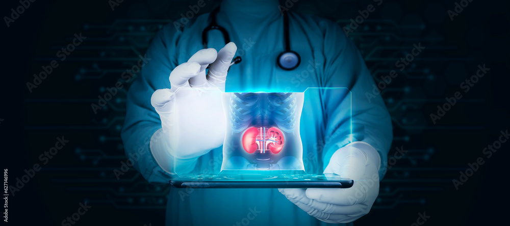 Nephrology, Kidney problems. Kidneys, kidney pain, kidney cysts, kidney ...