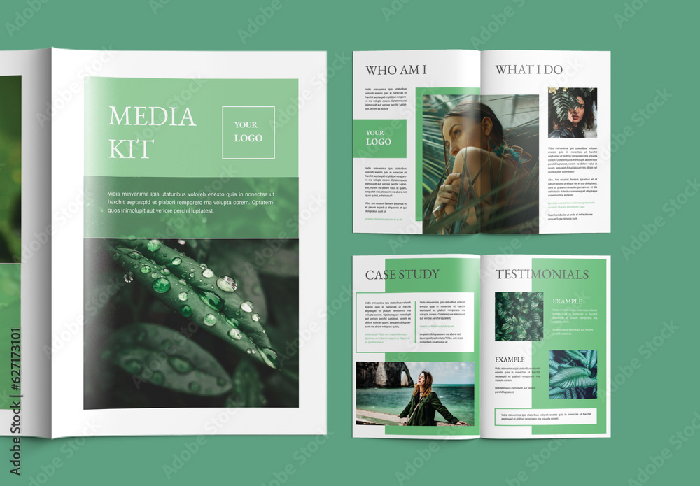 Media Kit Brochure Layout Stock Template | Adobe Stock