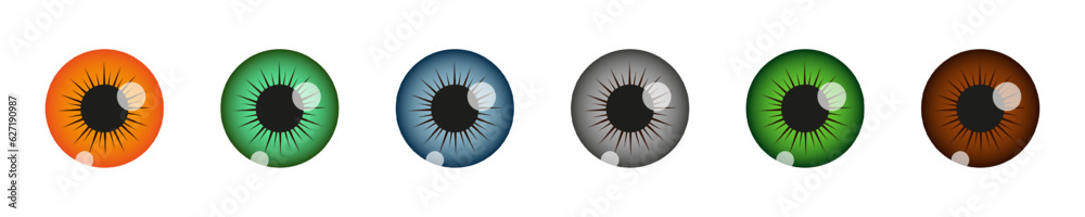 Closeup view of human eye pupils with different colors isolated on ...