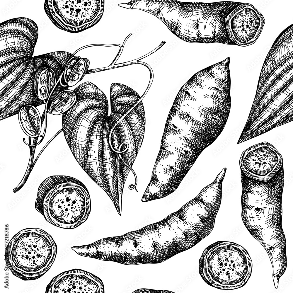 Agricultural plant pattern. Ube, Purple yam sketch. Root vegetable ...