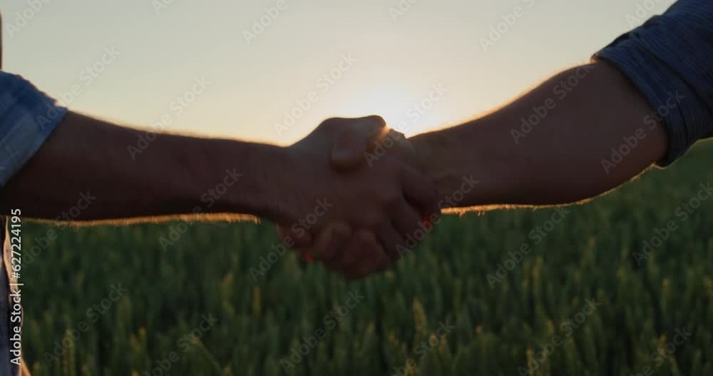 Energetic handshake of two successful farmers on the background of a ...