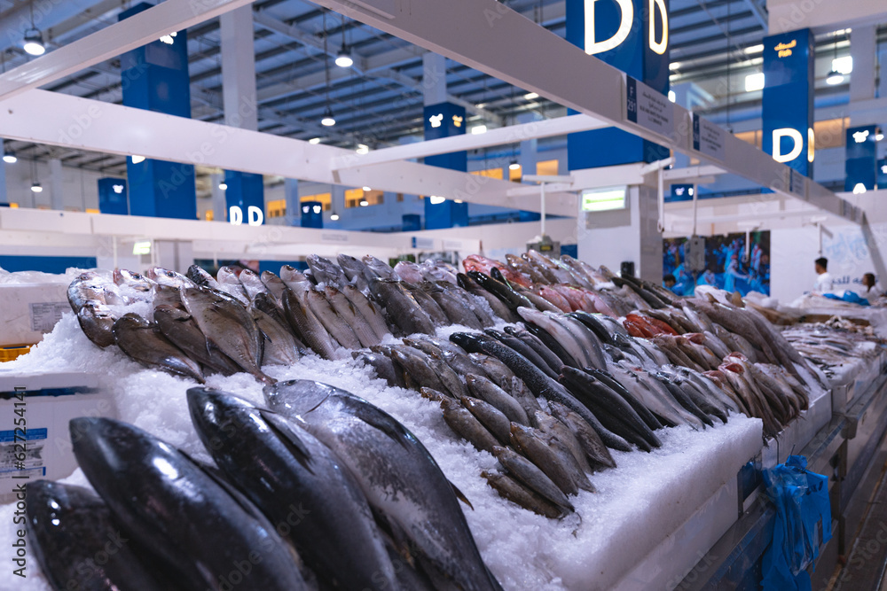 Photo Art Print Emirates Dubai Deira waterfront fish market Westlight