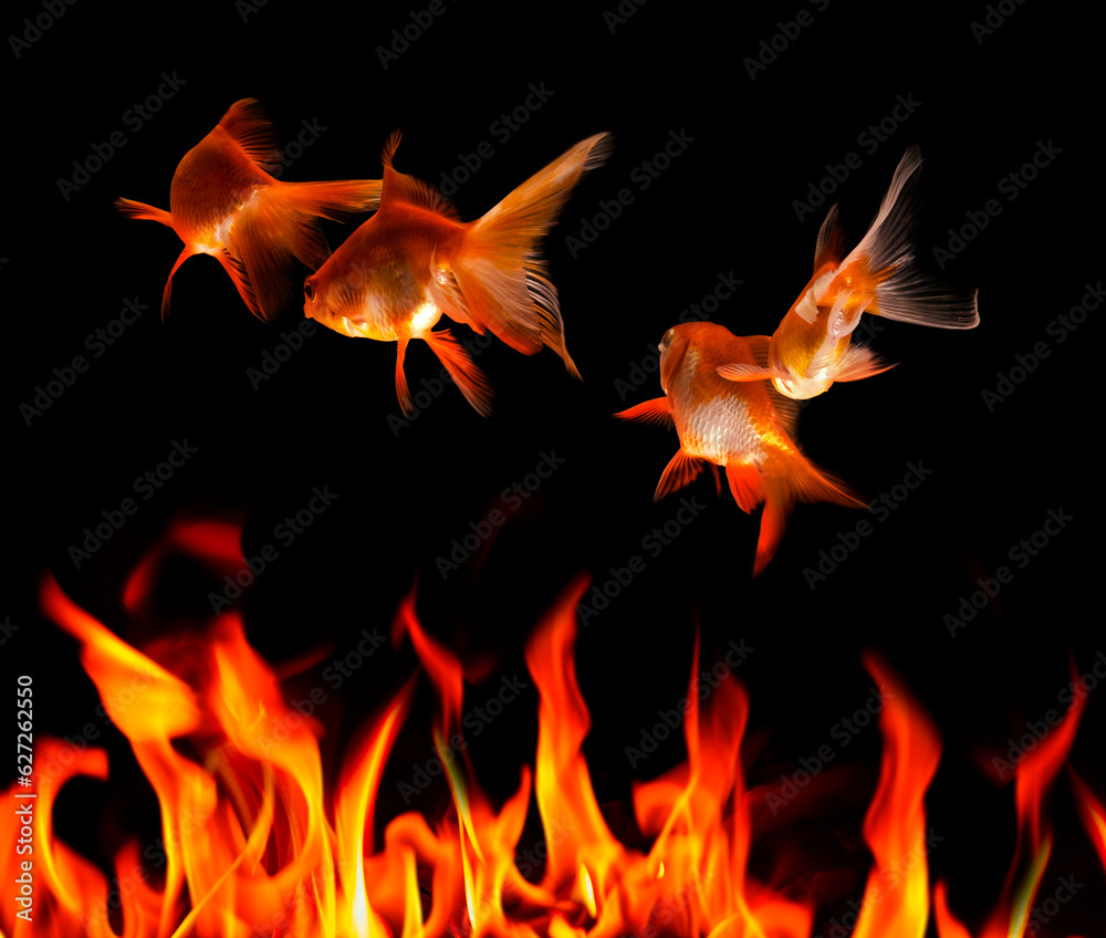 CGI image of goldfish and flames depicting environmental threat Stock ...