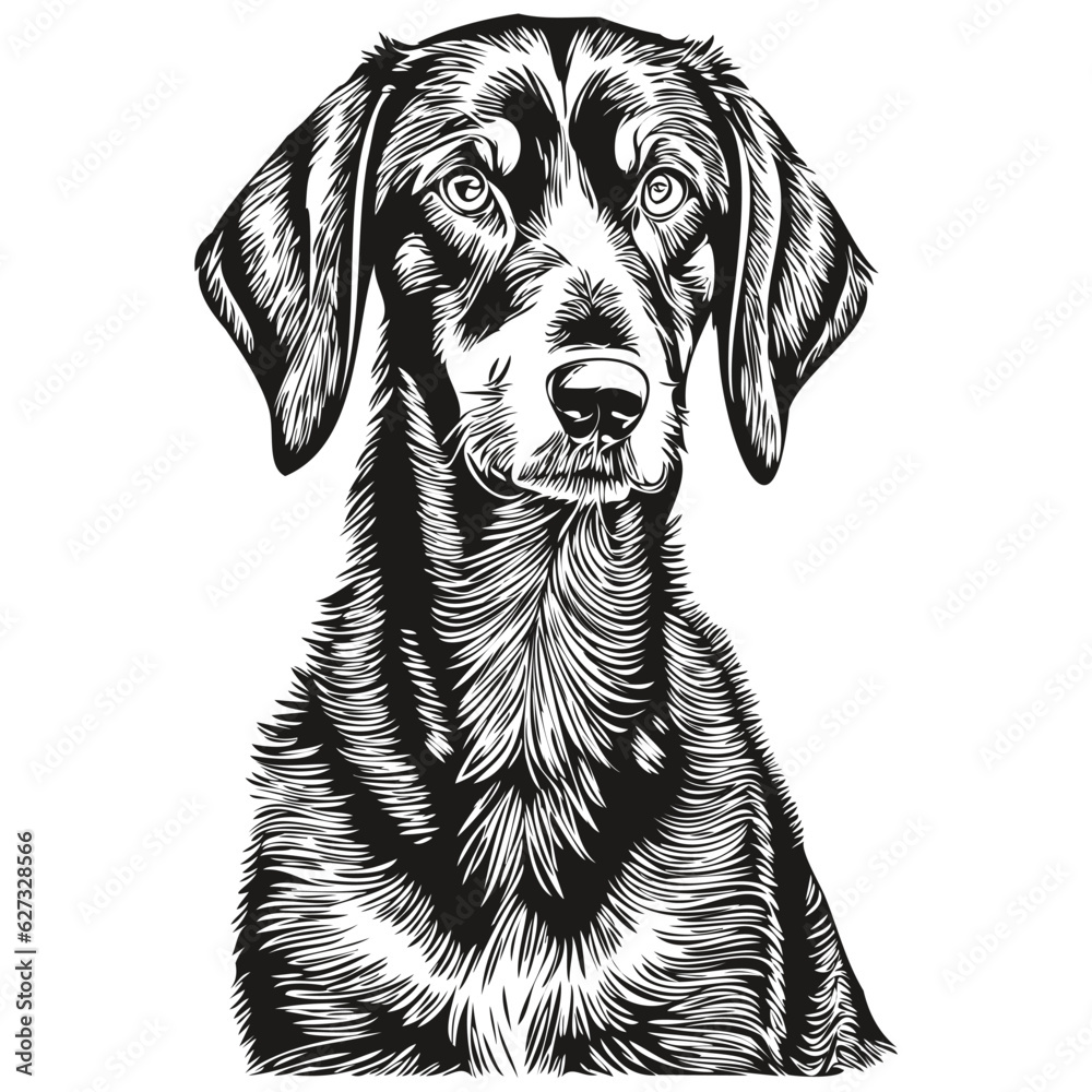 Black and Tan Coonhound dog breed line drawing, clip art animal hand ...