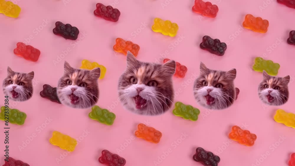 Funny computer graphics, animation with a cat's head opening and ...