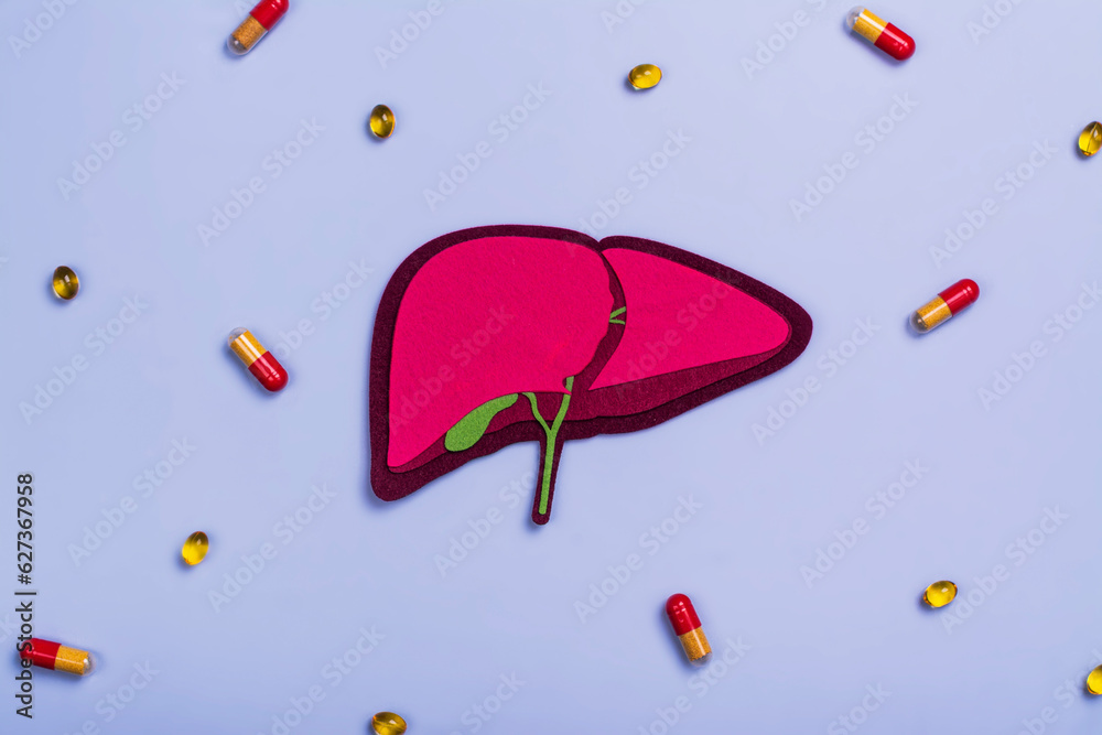 Human liver organ and pills. World hepatitis day. National liver health ...