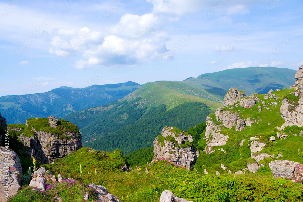 Majestic Mountain Symphony: Peaks, Valleys, and Enchanting Forests ...