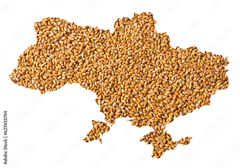 Wheat on the map of Ukraine. Map of Ukraine and wheat grain. Stock ...