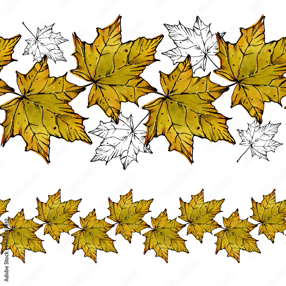 Maple Leaf. Horizontal border of fallen autumn leaves. Deciduous trees ...