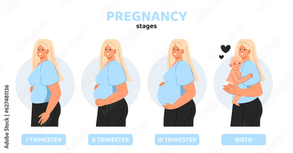 Set of pregnancy stages concept. Medical infographics and educational ...
