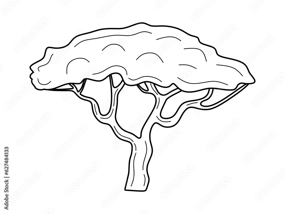 Hand drawn acacia tree. African tree silhouette drawing in doodle style ...