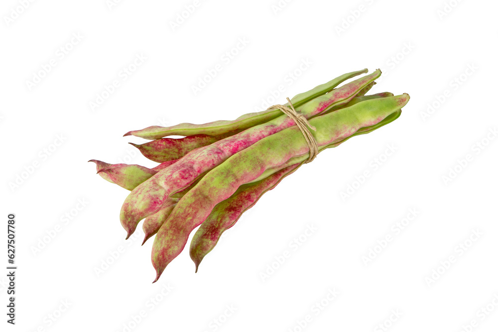 Common bean pods bunch tied with jute rope isolated transparent png ...