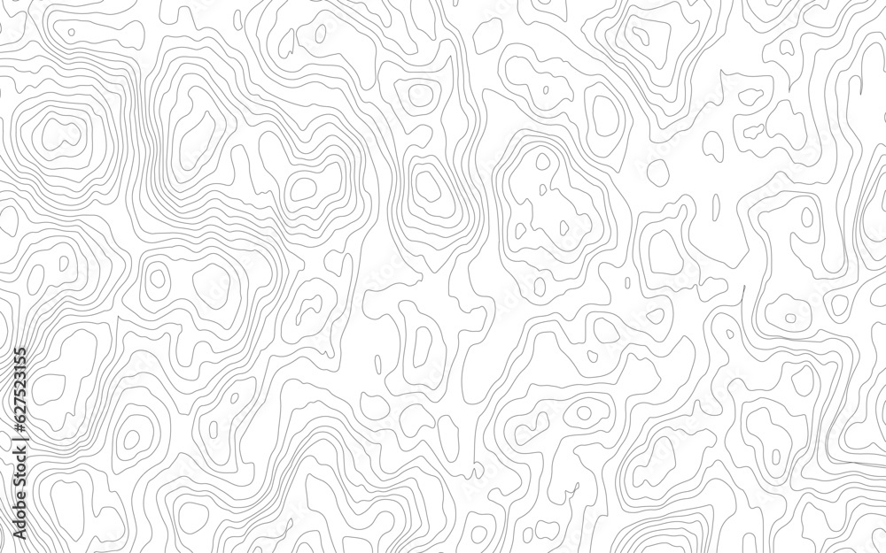 Topographic contour map. Topography and geography map grid abstract ...
