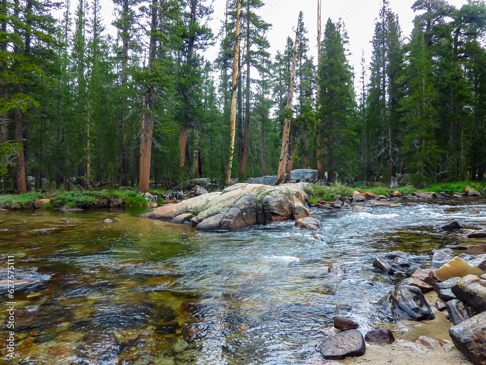 Scenic view of the Merced river flowing through dense pine tree forest ...