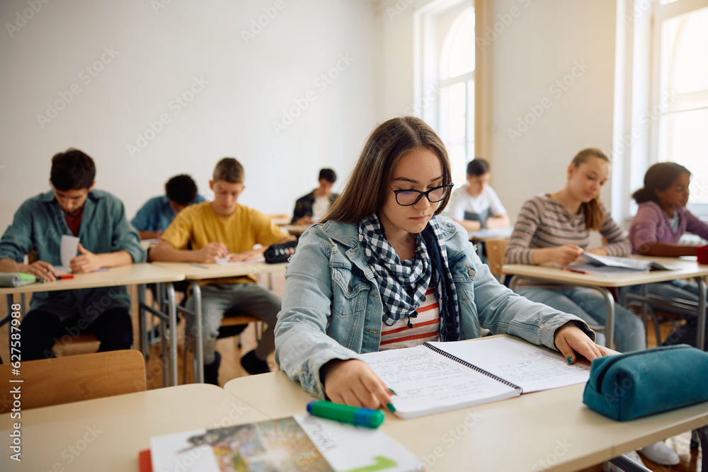 Teenage girl studying in classroom at high school. Stock Photo | Adobe ...