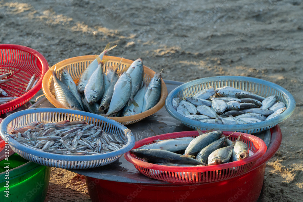 Plastic baskets containing a variety of fresh fish that have just been ...