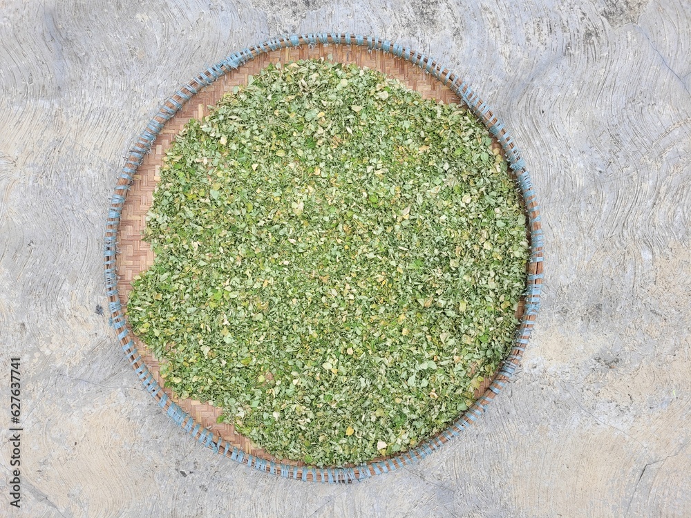 Dried moringa leaves are used for traditional medicinal ingredients ...