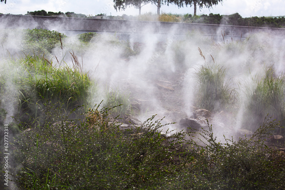 future watering with spraying water on the landscape design of the park ...