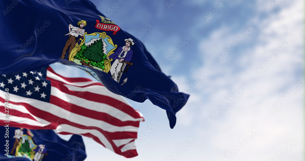 Maine state flags and the United States national flag waving in the ...
