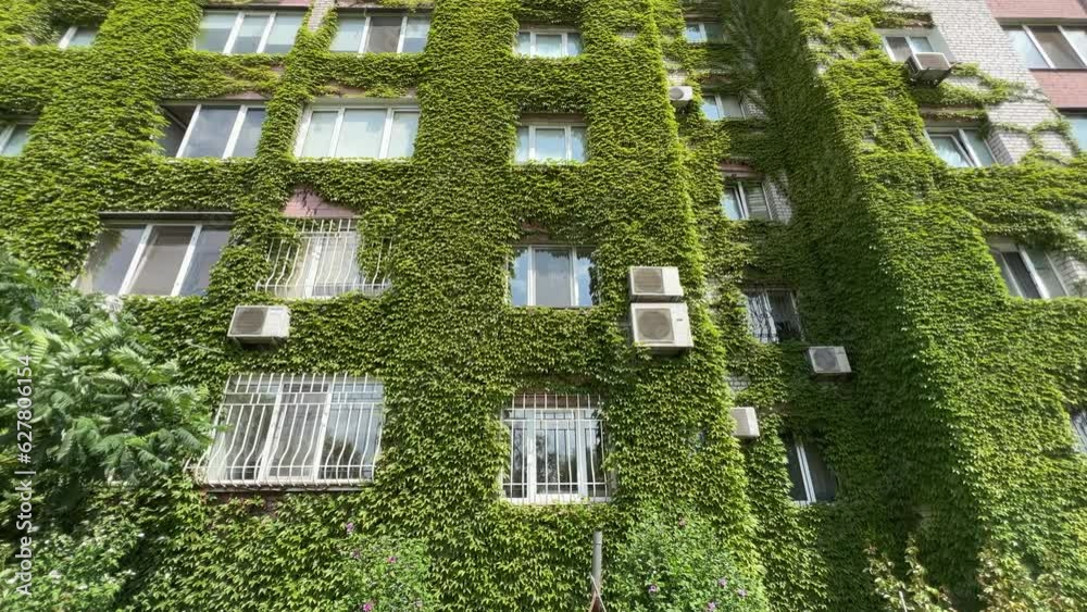 Green building with plants growing on the facade. Wall of a house ...