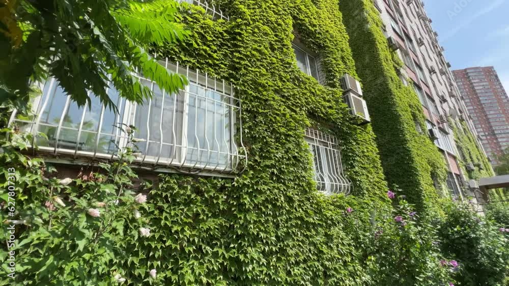 Green building with plants growing on the facade. Wall of a house ...