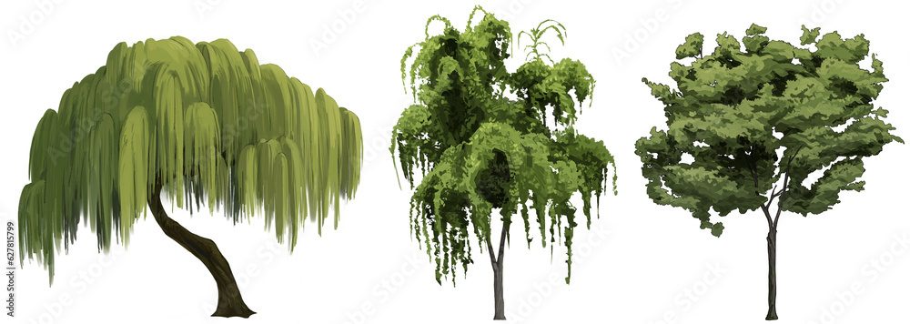 2D illustration of trees, hand drawing toon or manga styles, for ...