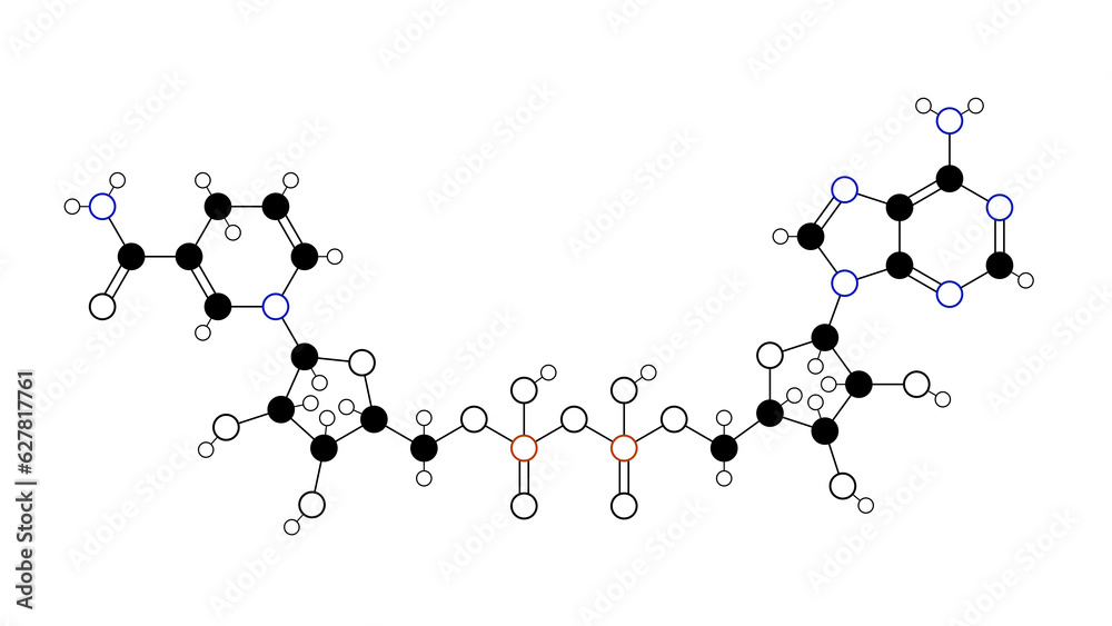 ภาพประกอบสต็อก nadh molecule, structural chemical formula, ball-and ...