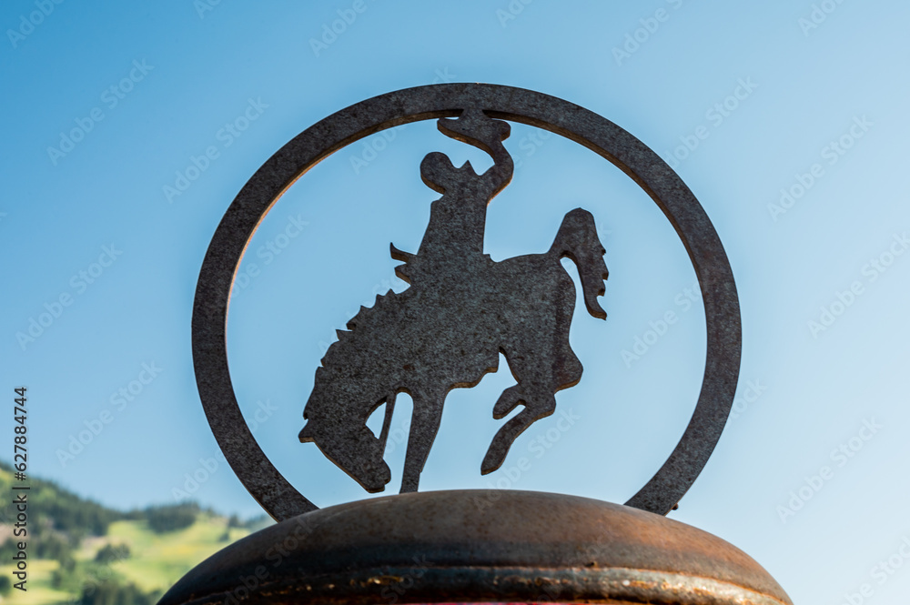 Wyoming Bucking Bronco Logo In Steel Stock Photo | Adobe Stock