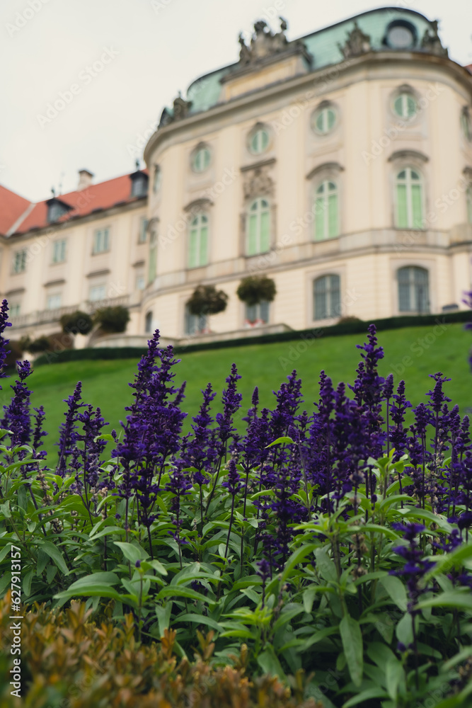 Beautiful violet flowers Castle Gardens on background adjacent to the ...