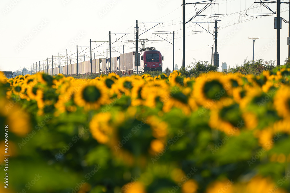 Romania - 21 July 2023: Cargo train transporting Maerks and MSC ...