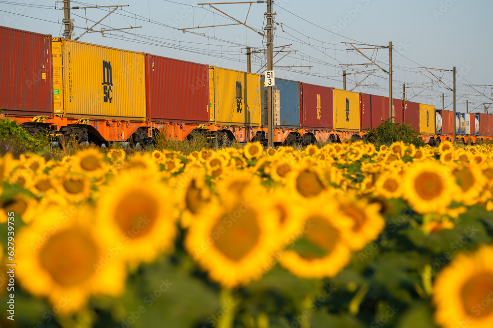 Romania - 21 July 2023: Cargo train transporting Maerks and MSC ...