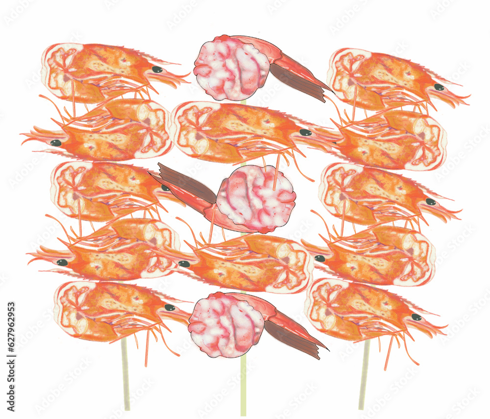 shrimp illustrations art. Stock Illustration | Adobe Stock