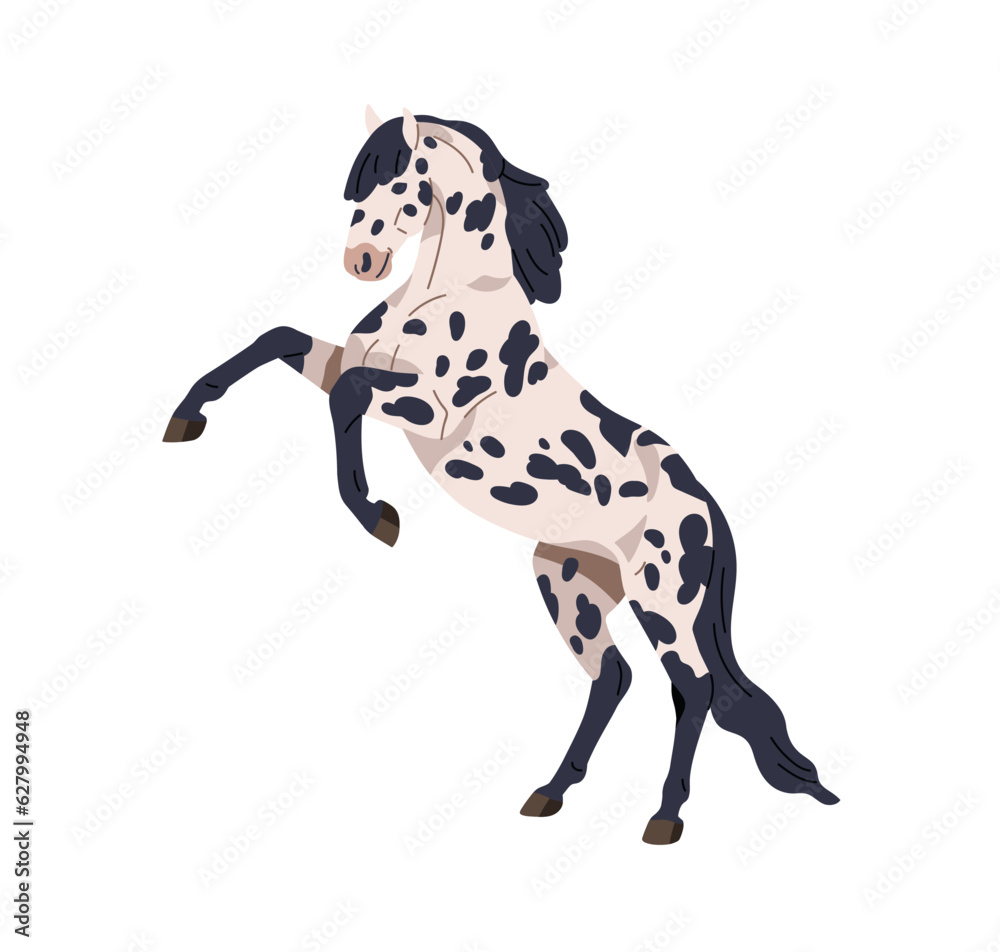 Horse standing up in rearing pose. Wild stallion profile, beautiful ...