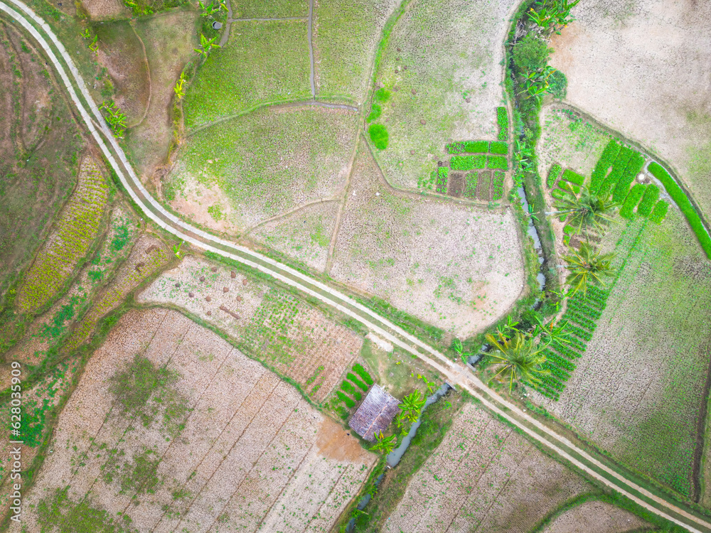 Aerial view of empty rice fields due to drought in Yogyakarta, Java ...