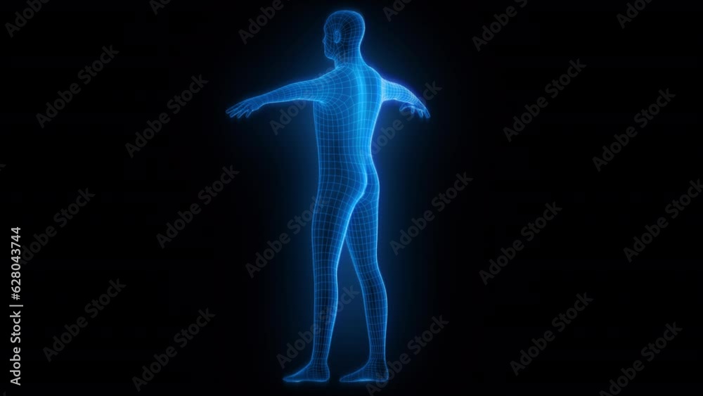 3D wireframe mesh of a human body rotating on a transparent background ...