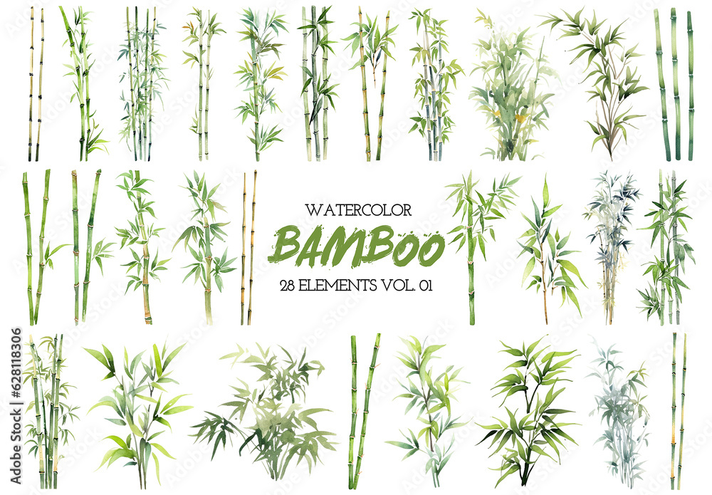 Watercolor painted bamboo clipart. Hand drawn design elements isolated ...