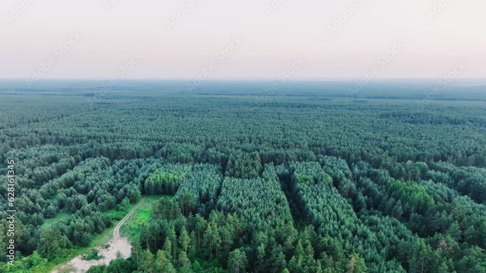 Widok lasu z lotu ptaka, lot tronem nad drzewami w lesie. Niebo i las z ...