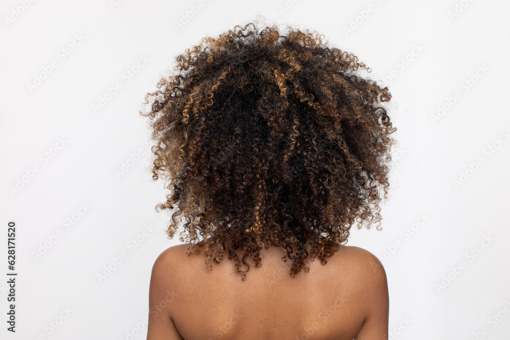 Back view of shirtless brunette woman Stock Photo | Adobe Stock