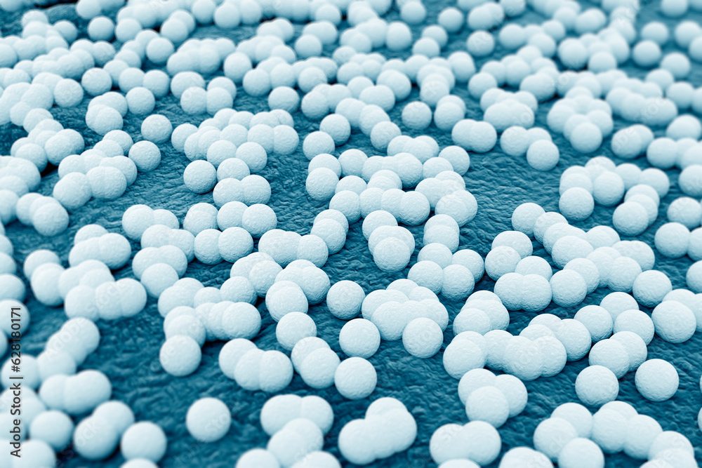 Staphylococcus bacteria cells. 3d render Stock Illustration | Adobe Stock