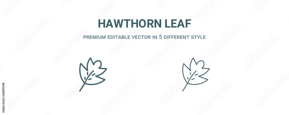 hawthorn leaf icon. Filled and line hawthorn leaf icon from nature ...
