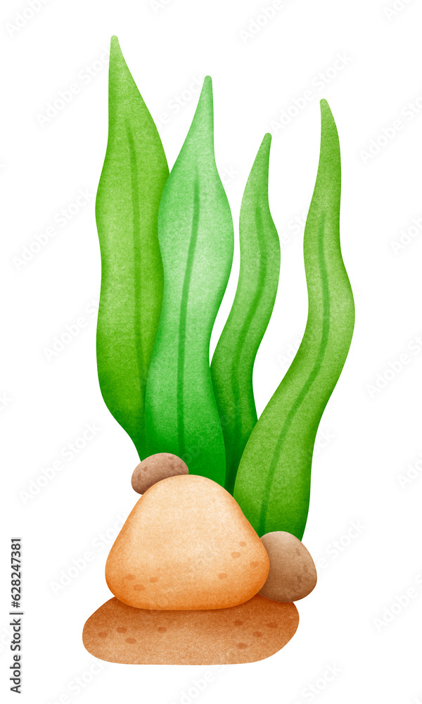 Aquatic Weed. Seaweed. Marine life. Flat cartoon style vector ...
