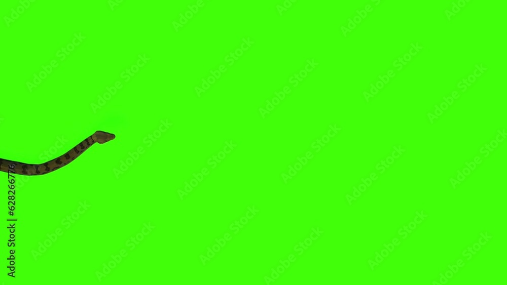 3D realistic anaconda snake crawling with top view entering the lift ...