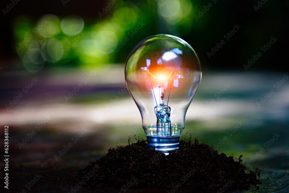 green energy concept. light bulb on wood floor. idea in green energy ...