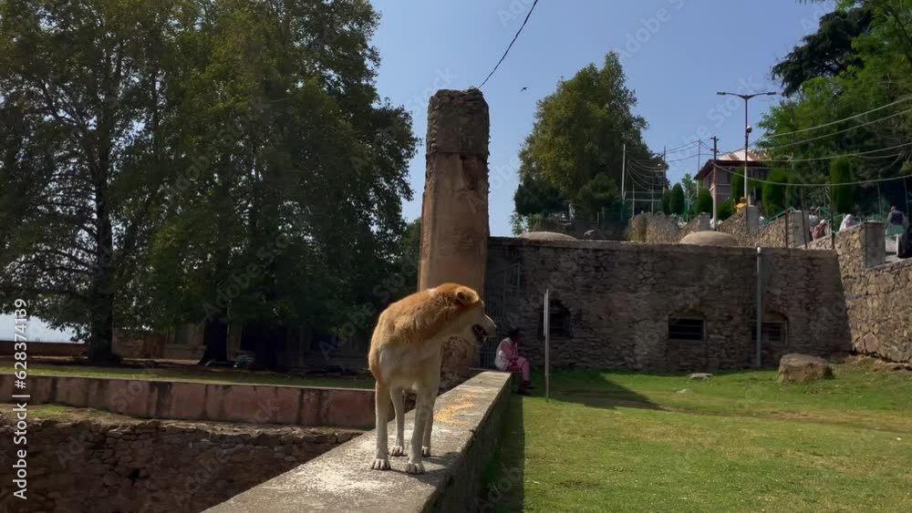 Srinagar Kashmir India 10 04 2022. Historical place in old city Kashmir ...