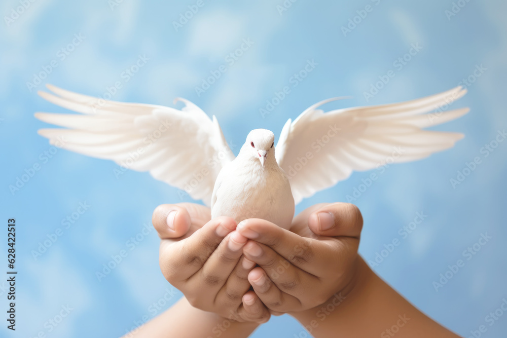 White dove in hand for peace or freedom symbol Stock Photo | Adobe Stock