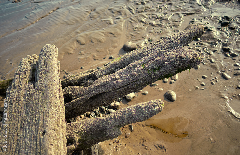 An old historic wooden shipwreck vessel carcass exposed on a desolate ...