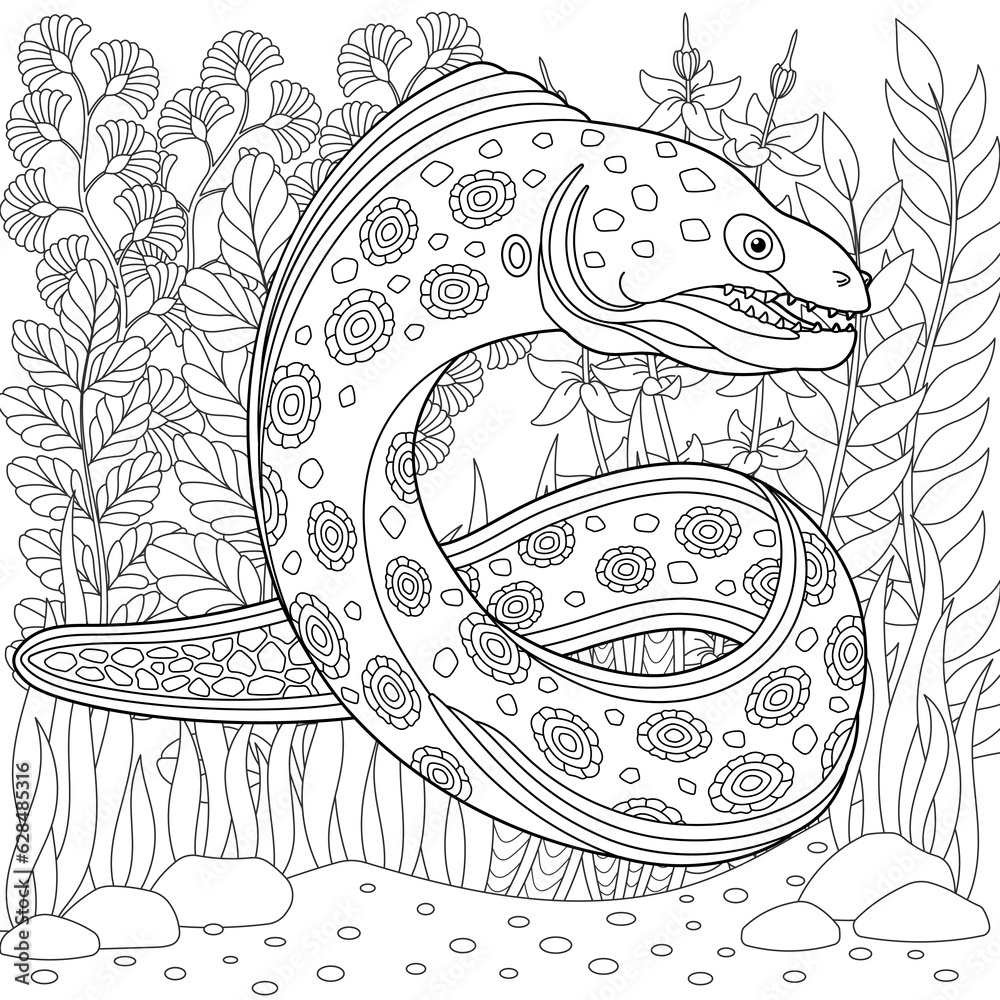 Adult colouring page with a moray eel. Outline intricate underwater ...