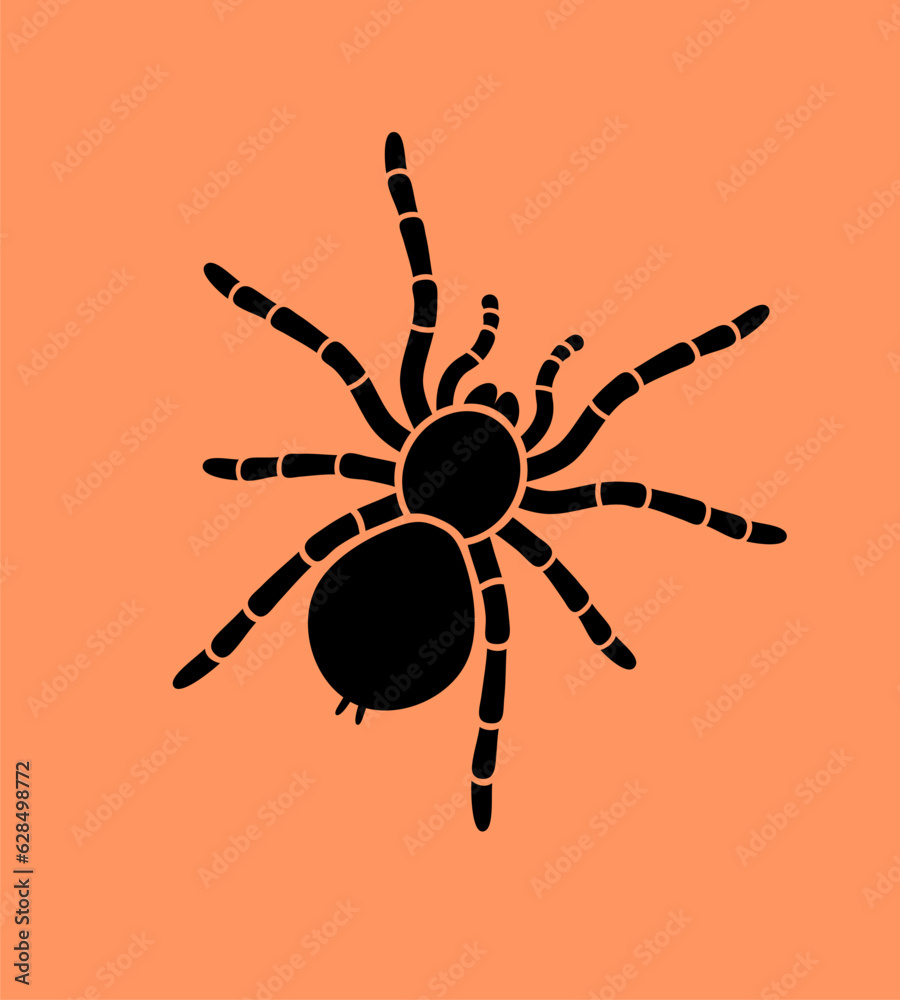 Black silhouette of a tarantula spider. Vector illustration isolated on ...